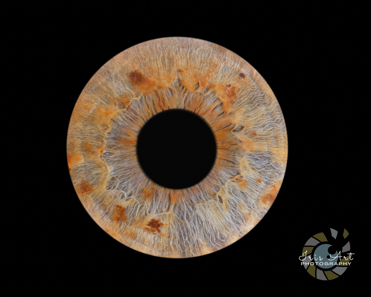 Iris Gallery - Iris Eye Photography - North West, Uk